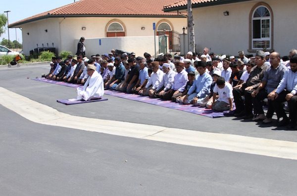 Untold Stories | The Review of Religions