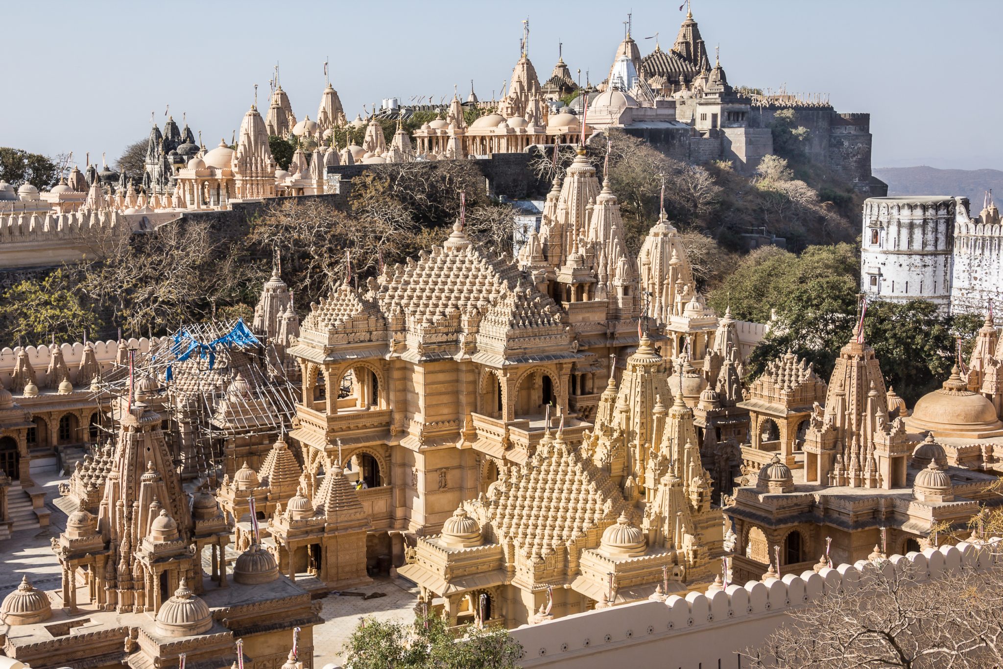 In Brief: Jainism | The Review of Religions