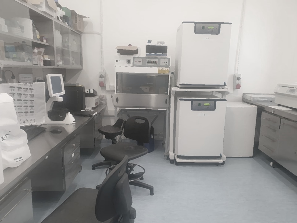 Reaching for the Stars: Interview with Pioneering Bone Cancer Researcher Amnah Khan | The Review ...