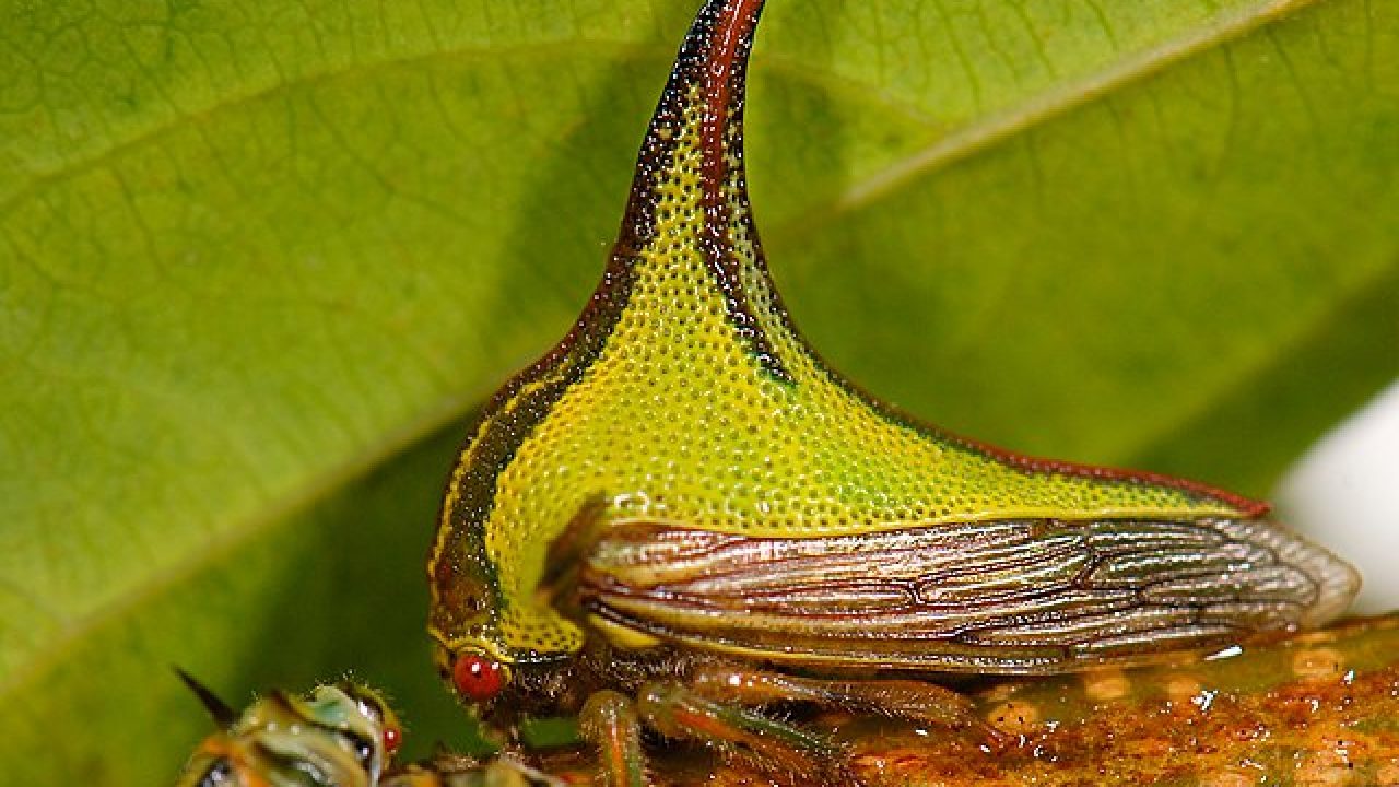 Exploring the Flawlessness of Nature - The Breathtaking Diversity of ...